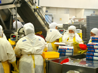 BALANCEADOS EN EL ECUADOR : Expalsa Exportadora de Alimentos S.A.