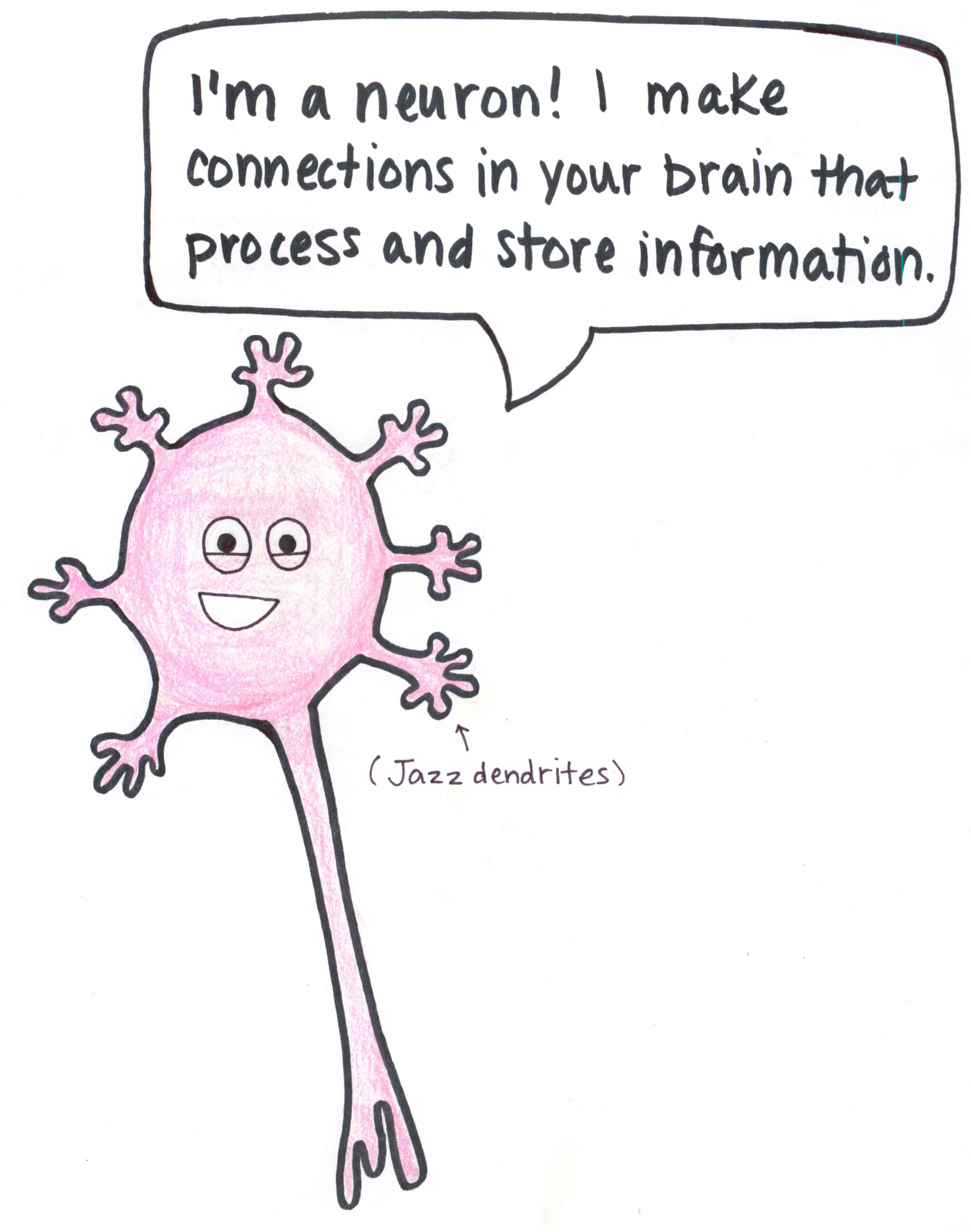 Types of Cells - Beatrice the Biologist