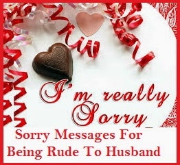 Sorry Messages : Being Rude