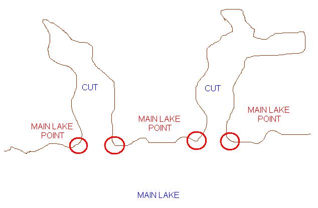 Bassin' The Midwest: Clinton Lake: Final 2012 ABA Regular Season Tournament