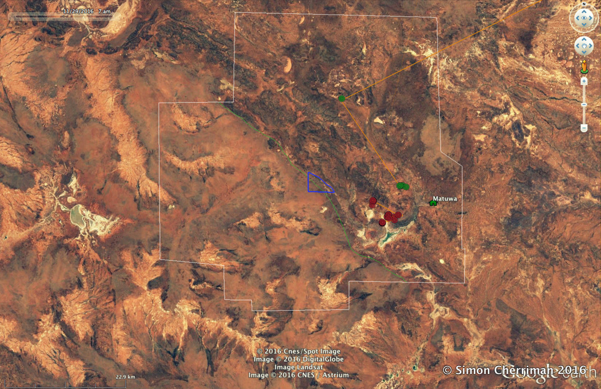 Wedge-tailed Eagle Tracking: November 2016