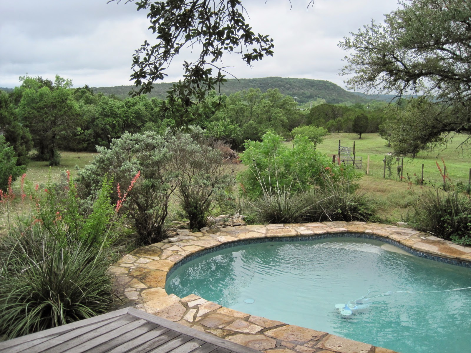 My Red Cape: A lovely pool for a hill country house.