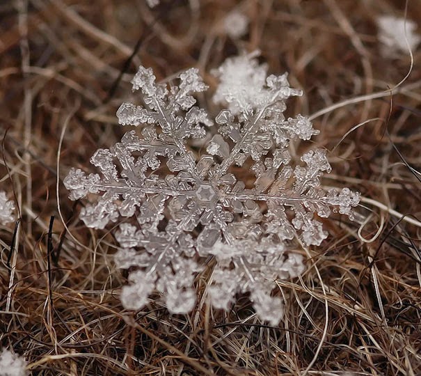 Foto Kepingan Salju dalam Fotografi Makro (Snowflakes) | LIAT AJA
