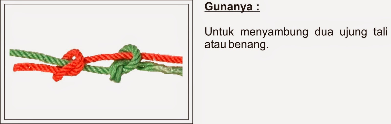 Berbagai Simpul Yang Sering Digunakan Pada Perikanan - Lalaukan