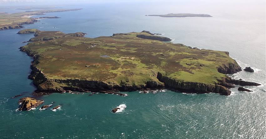 The Skomer Island Blog: Archaeology on Skomer Island