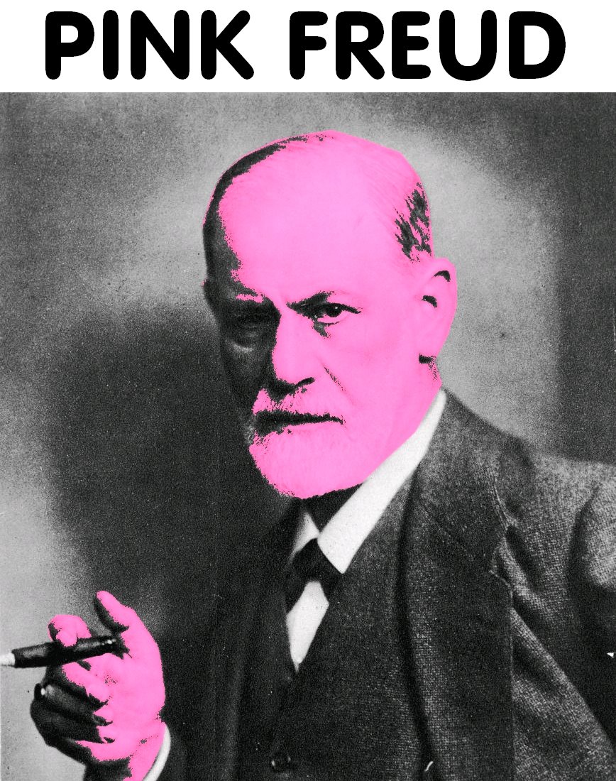 shilipoti: PINK FREUD