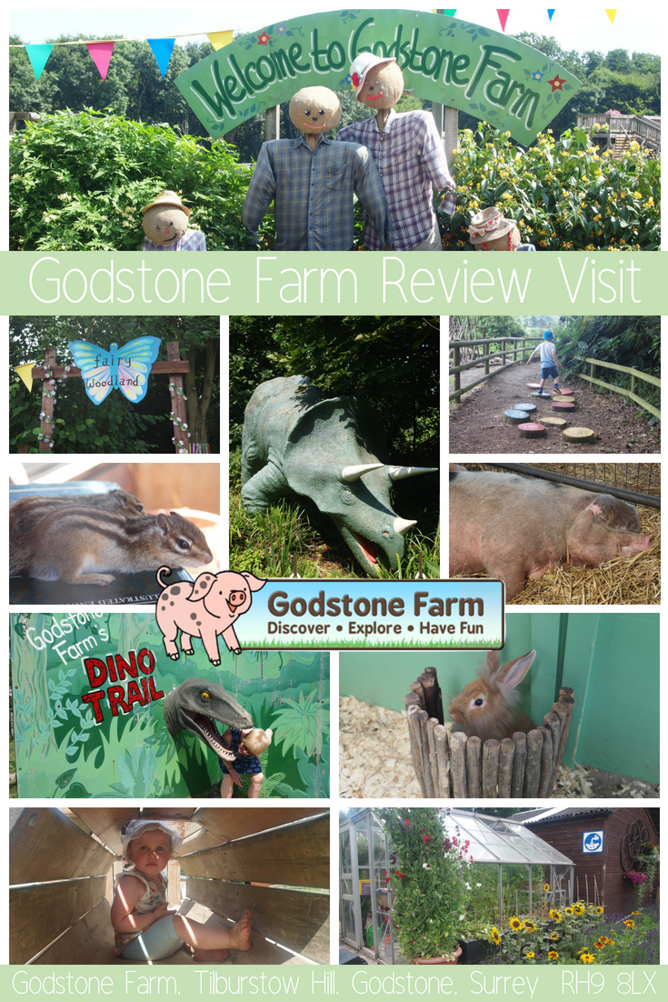 Mrs Bishop's Bakes and Banter: Family Days Out: Godstone Farm (Surrey ...