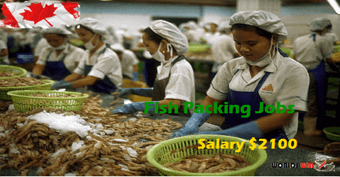 Fish Packing Jobs, Employment in Canada