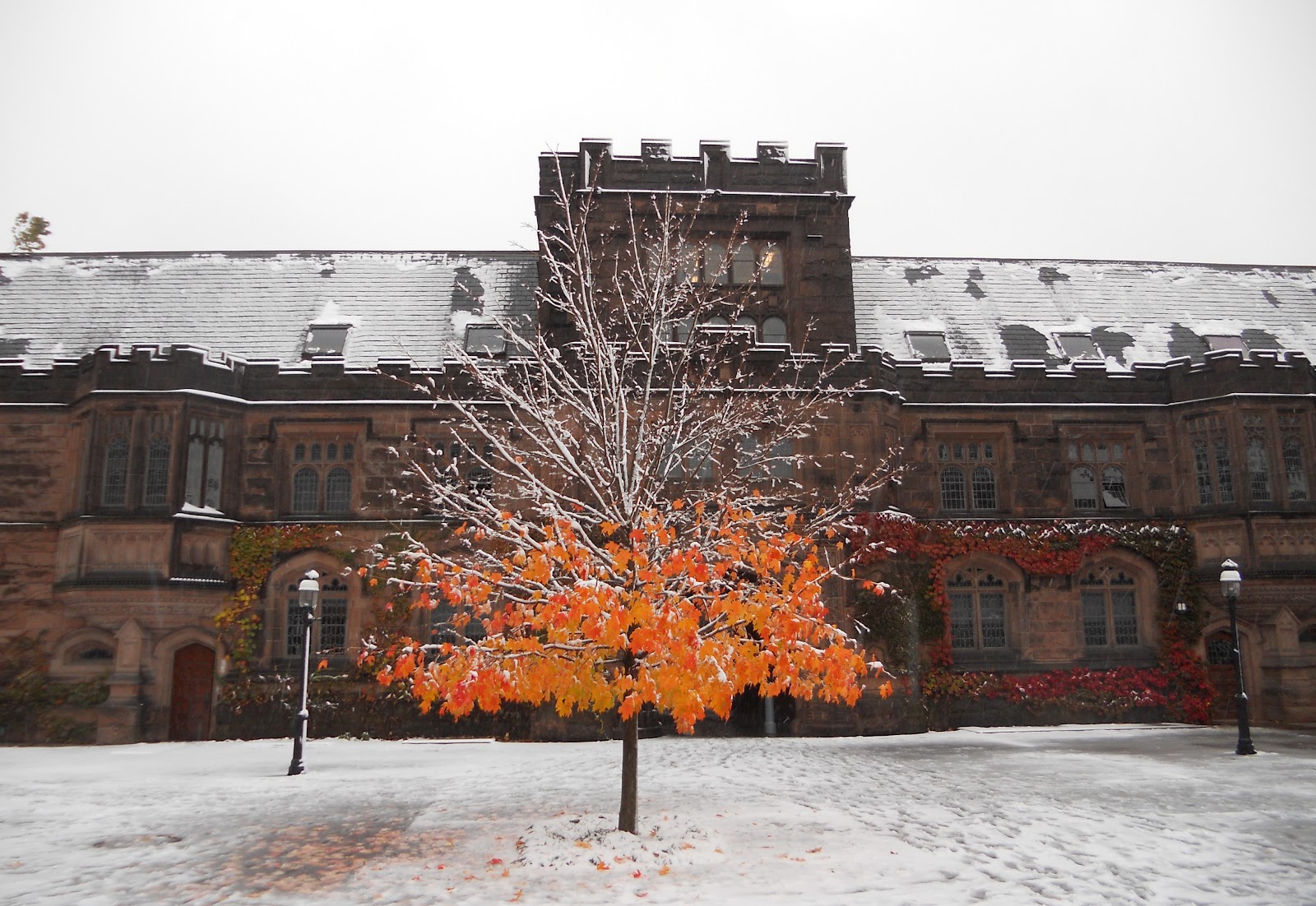 Nature Photography: First Snow at Princeton