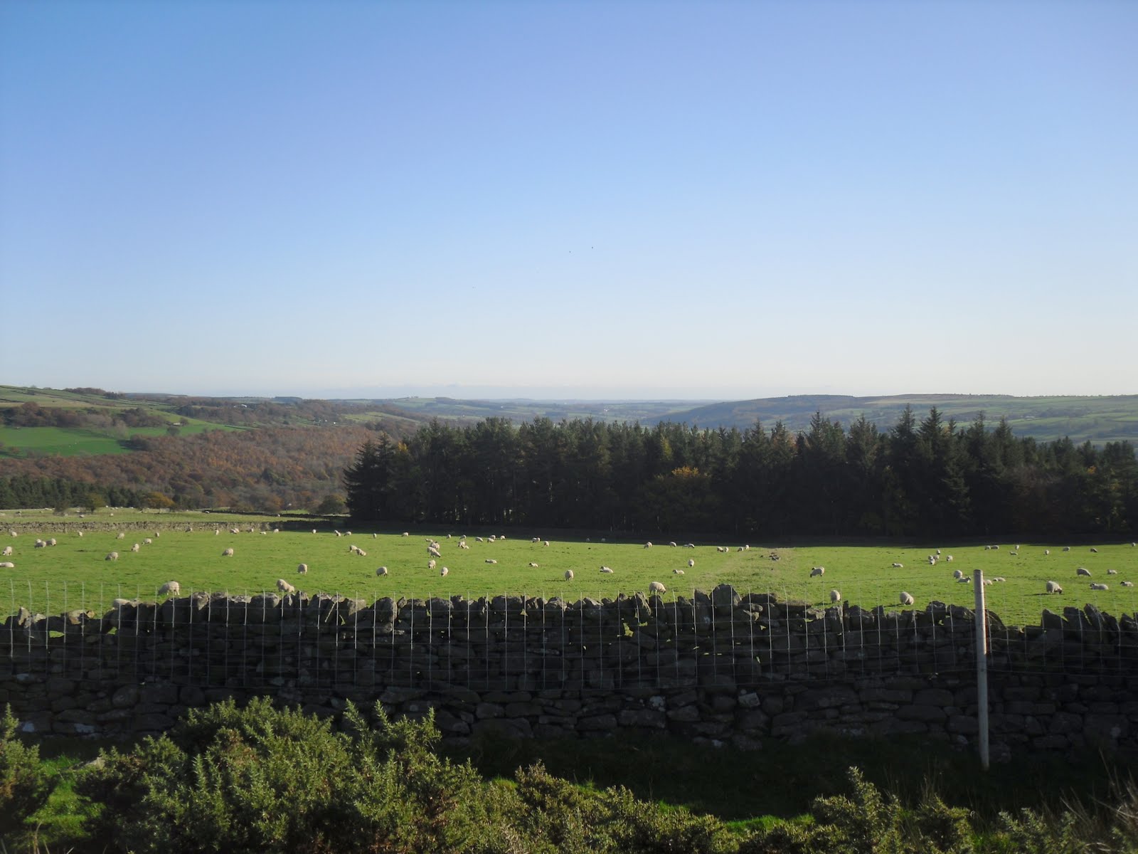 Rambling Nana: Wolsingham, Tunstall Reservoir Circular