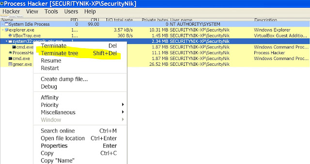 Learning by practicing: I Smell A RAT – Learning about Poison Ivy ...