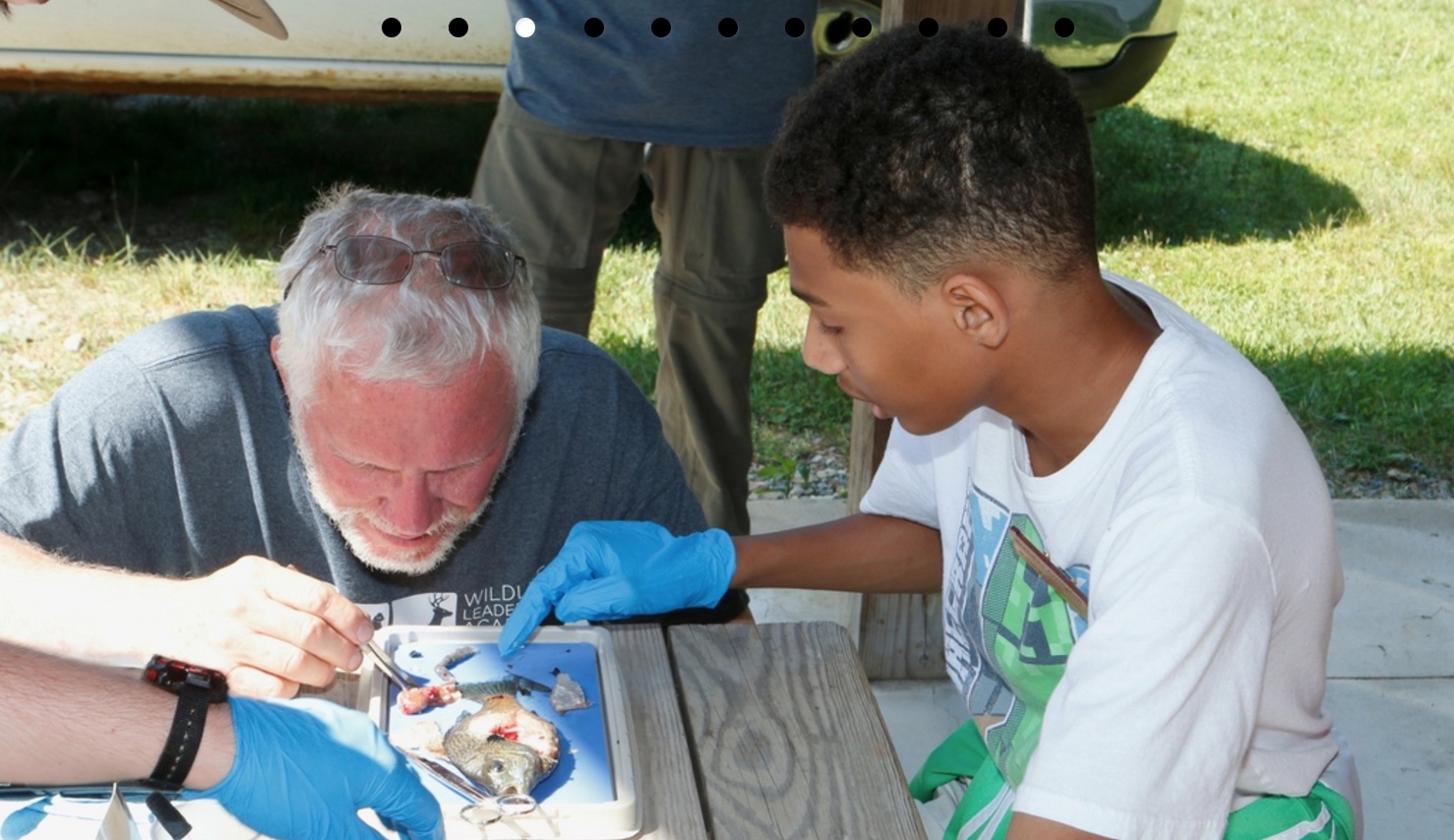 PA Environment Digest Blog: Wildlife Leadership Academy Seeks Students ...