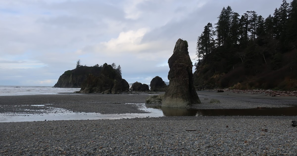 Reading the Washington Landscape: Washington Outer Coast: Ruby Beach Notes