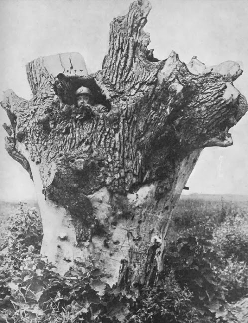 dumbØbject: WWI SPY TREES