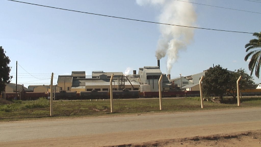 Xinavane, plantação de cana e fábrica de açúcar