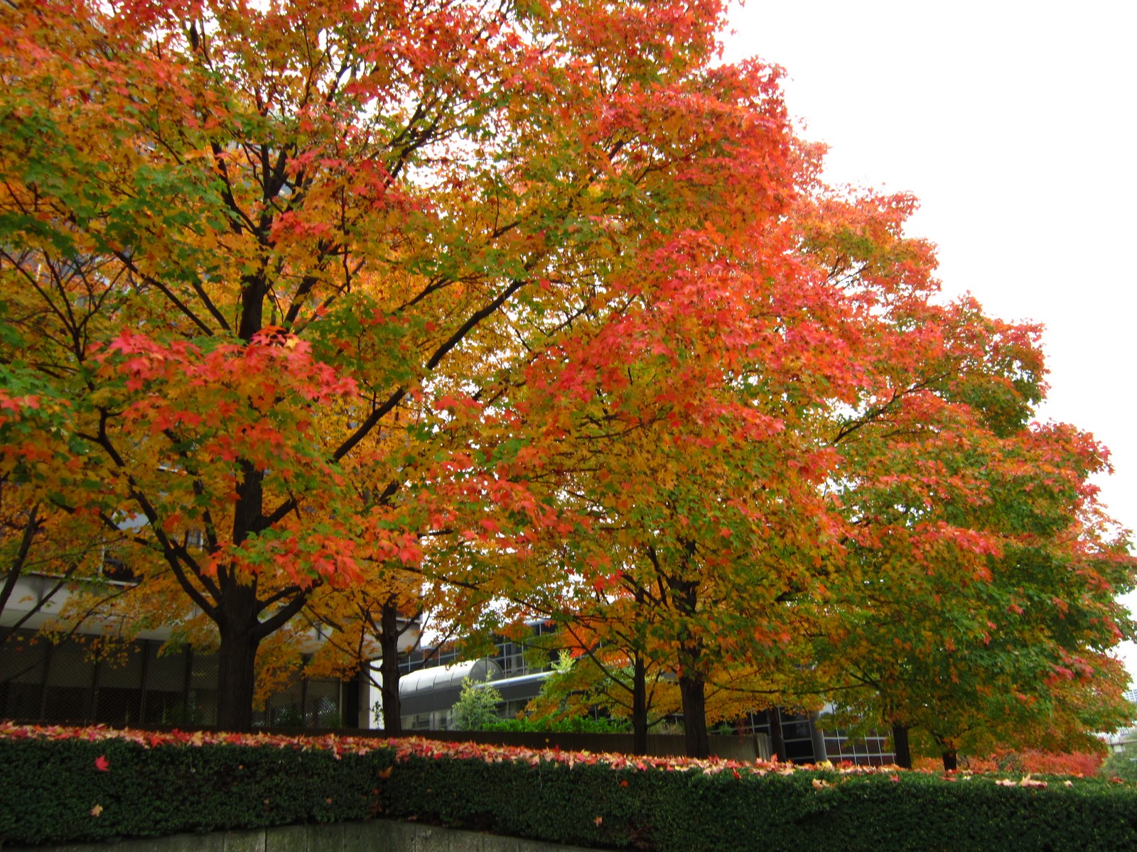 The Pittsburgh Look: STYLE: Autumn in Pittsburgh
