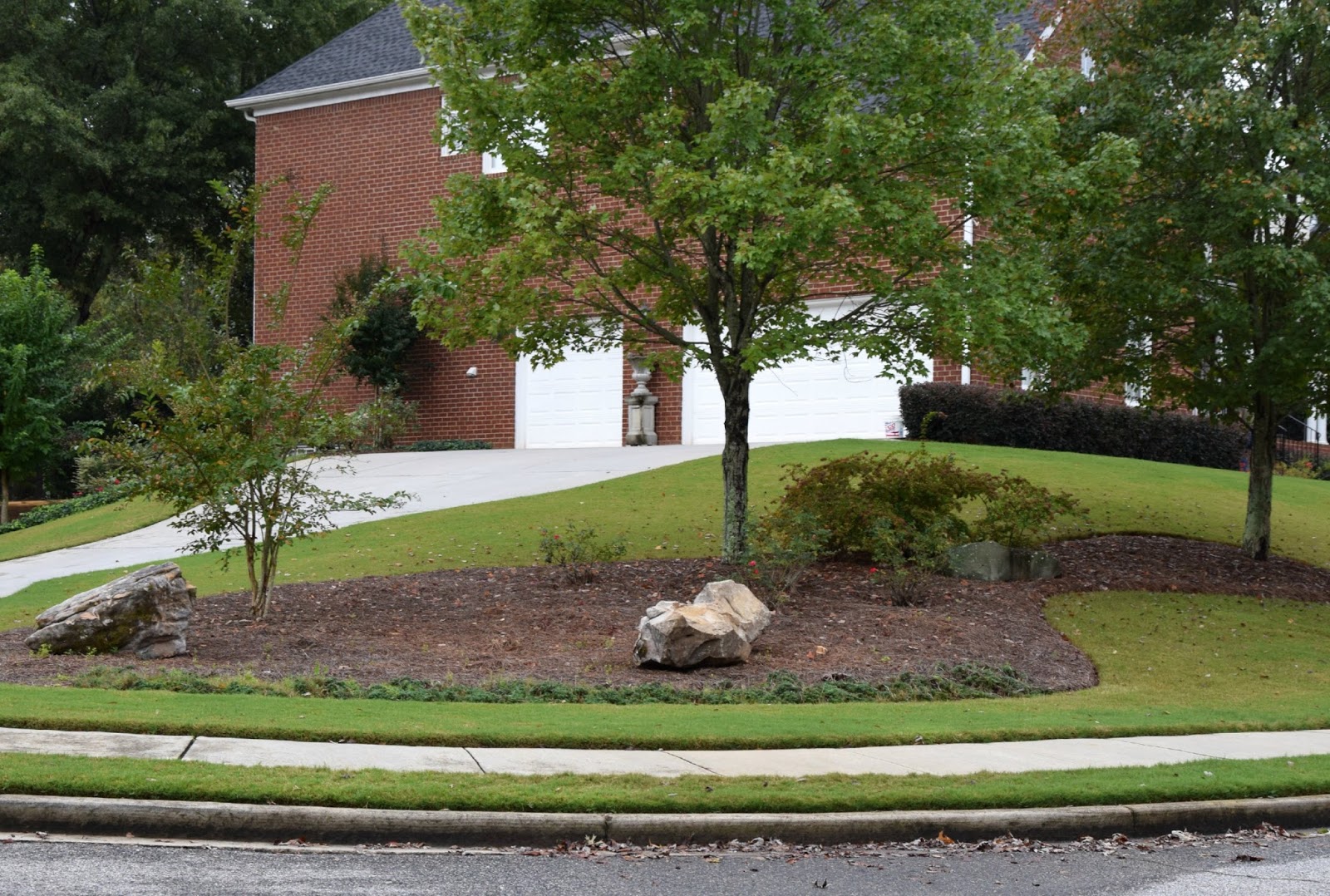 Using Georgia Native Plants: Planting in a Post-Wild World (the book)