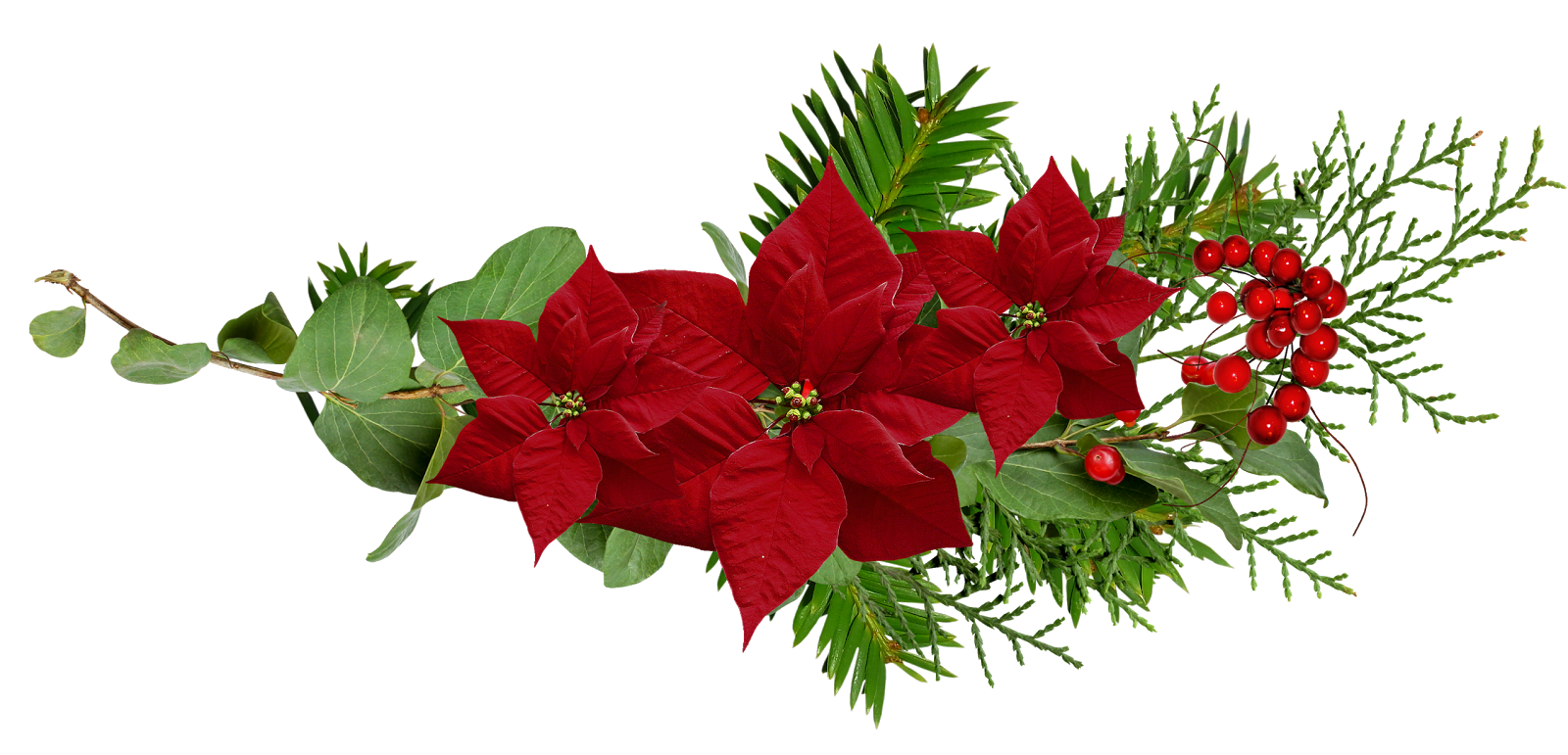 ® Blog Católico Navideño ®: 01/22/15