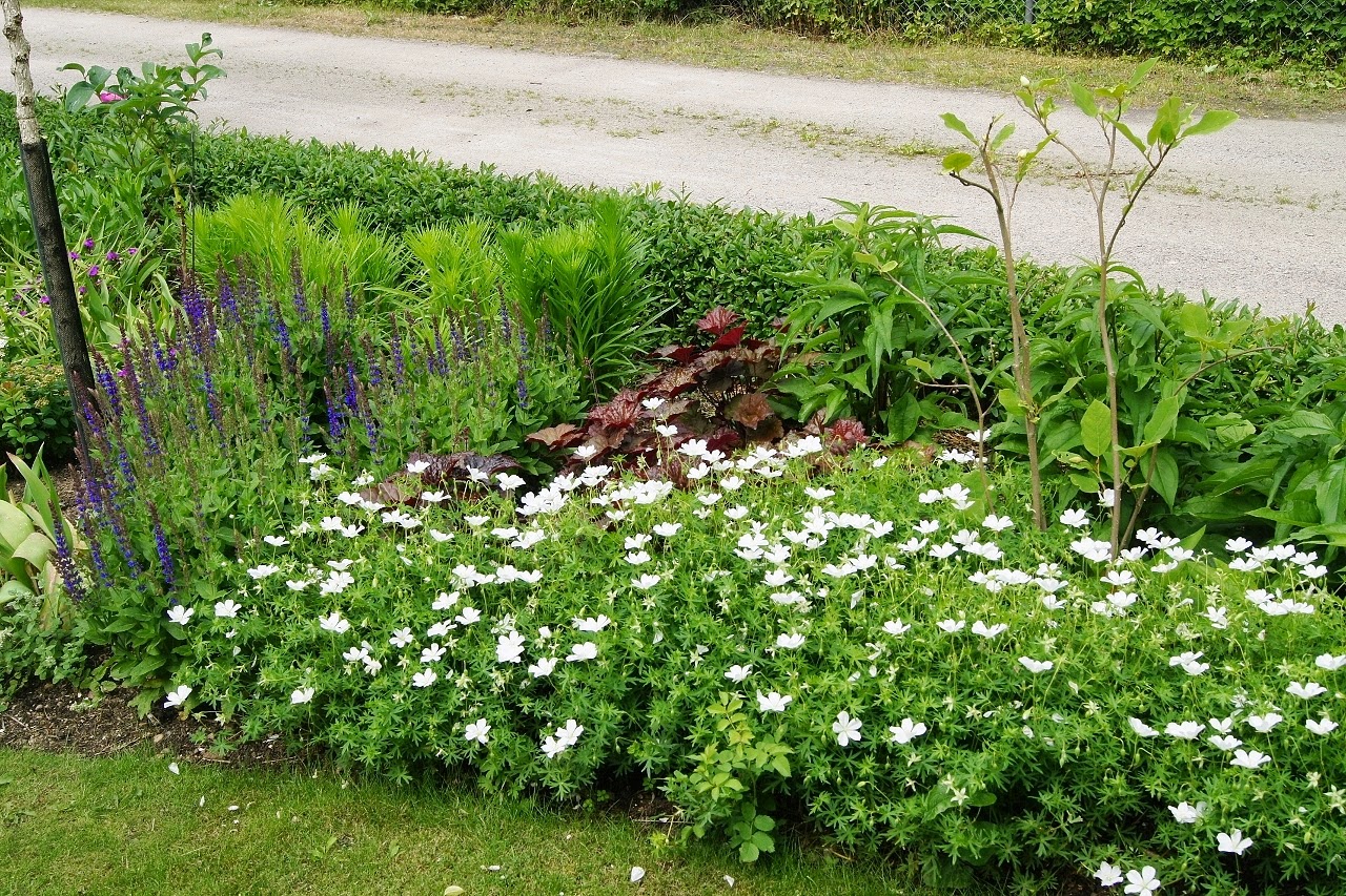 Mejrams!: Rabatt i förändring!