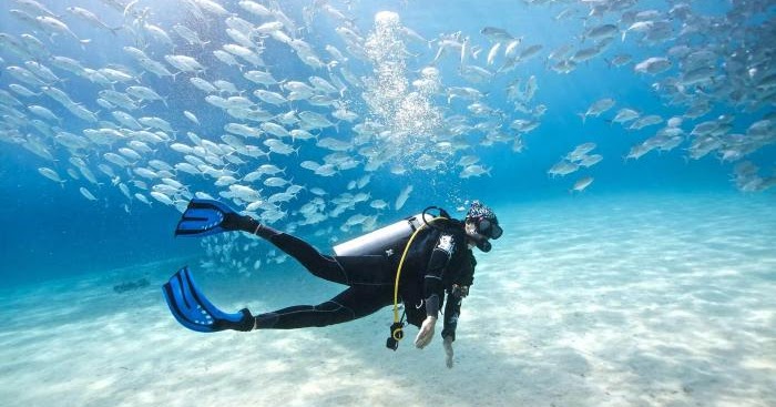 Teknik Dasar Penyelaman: Teknik Dasar Menyelam