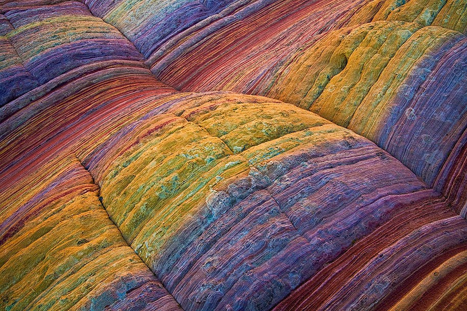 35 Breathtaking Examples of Patterns in Nature