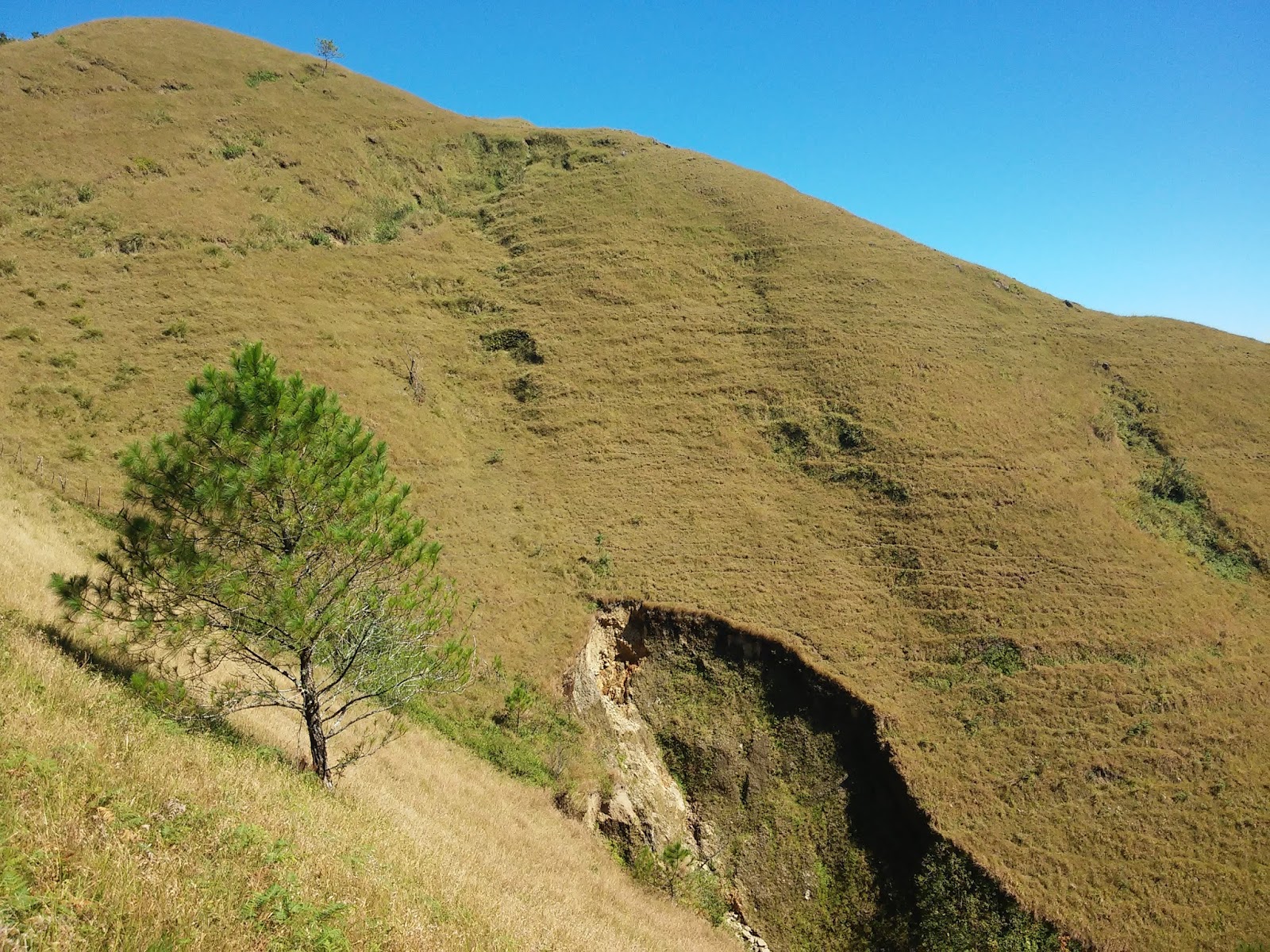 Mt. Ulap Eco Trail Travel Guide - moredantravels