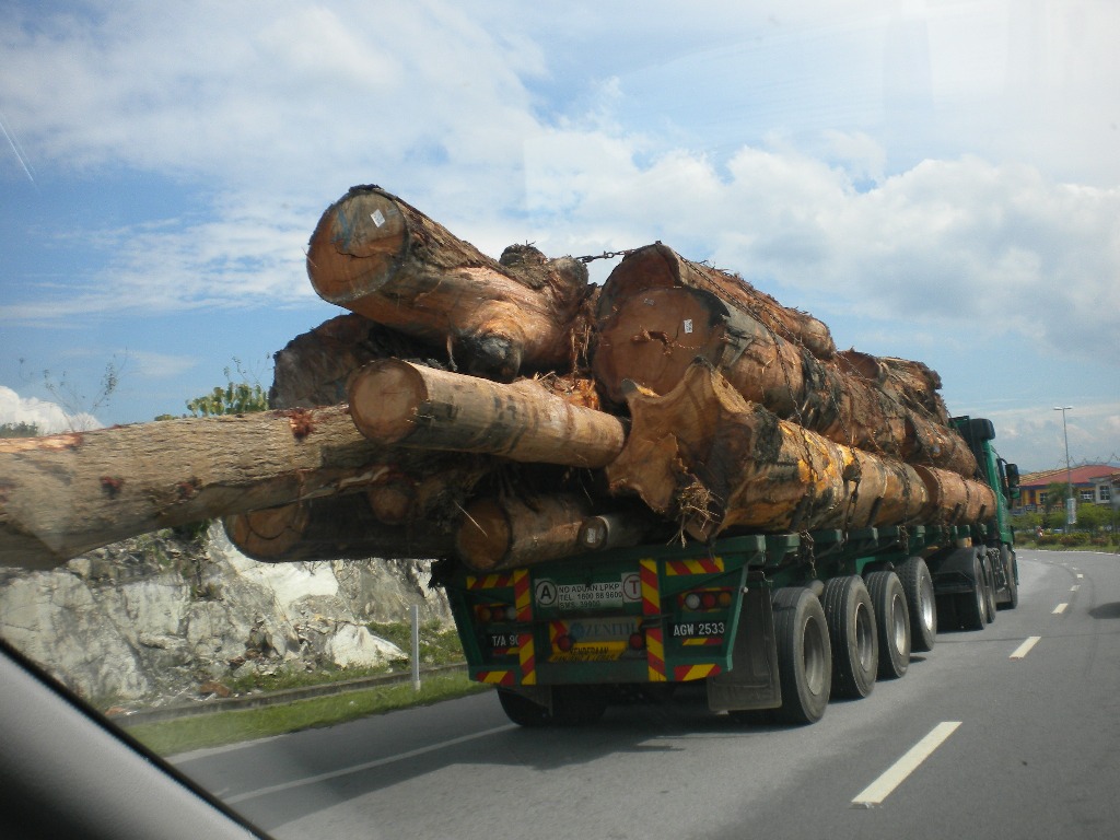 Kemalangan Jalan Raya: Kaji Muatan Lori Balak
