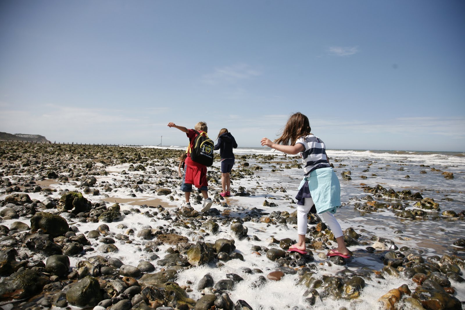 mattbrookestudio: Beachcombing