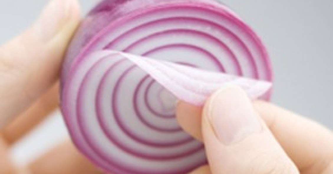 Agro-Industria de Cebollas: Nosotros