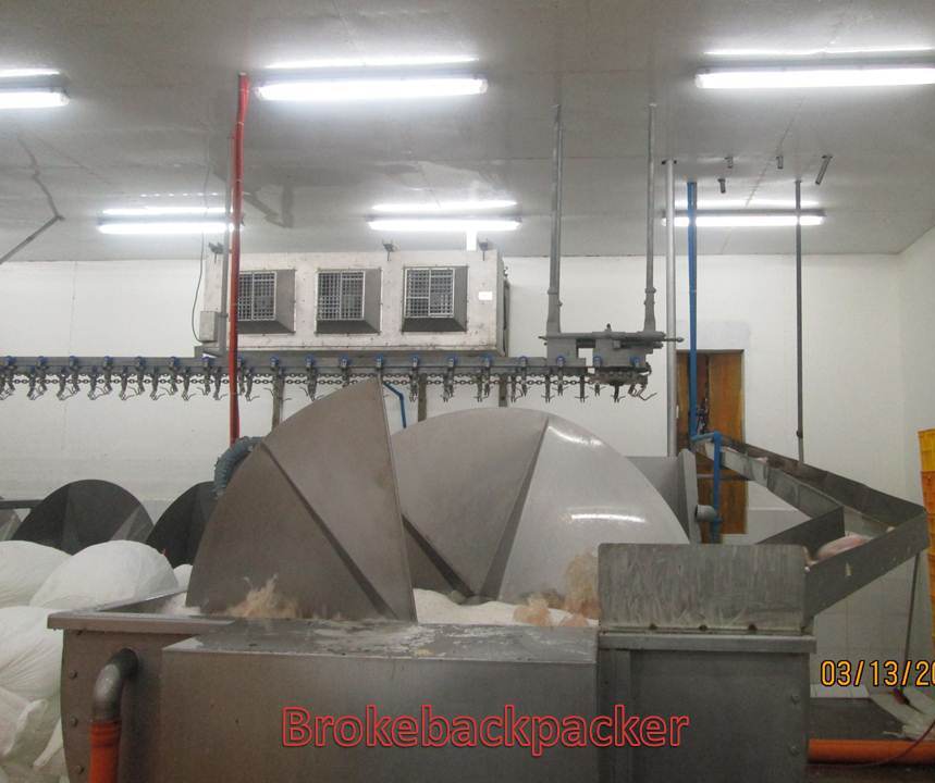 brokebackpacker: Chicken Dressing Plant - Process Flow