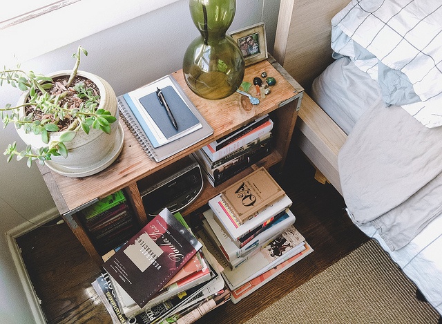 Moon to Moon: Bedside...