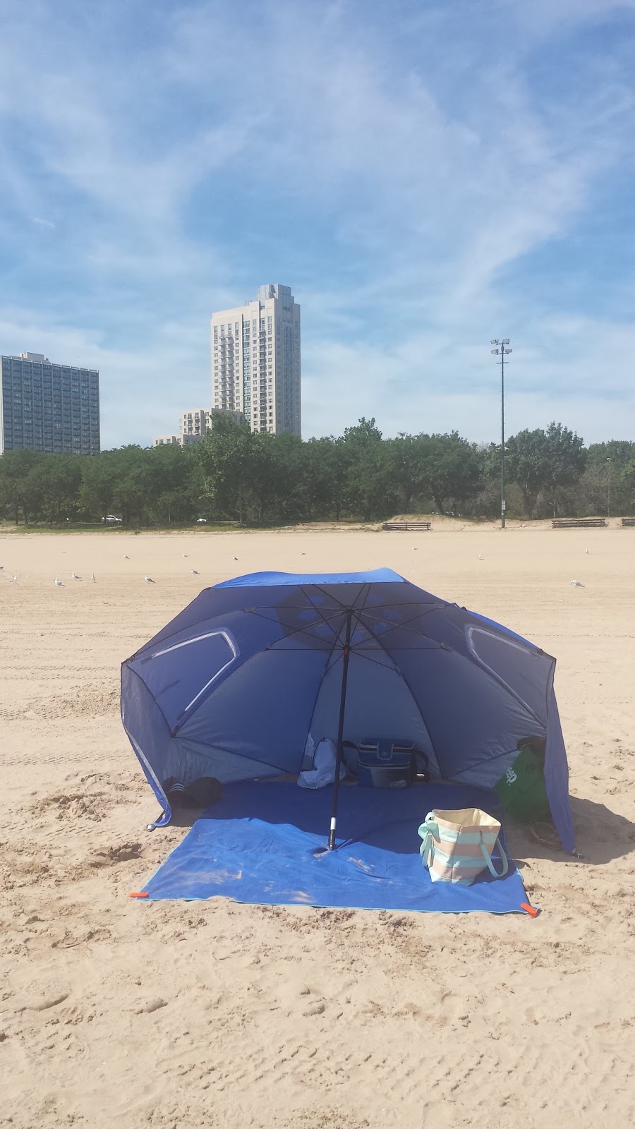 Plażing, smażing, parawaning, czyli czym może zaskoczyć Cię amerykańska ...