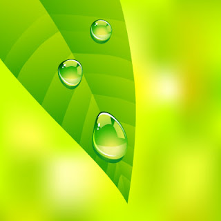 General Knowledge: How is Dew Formed?