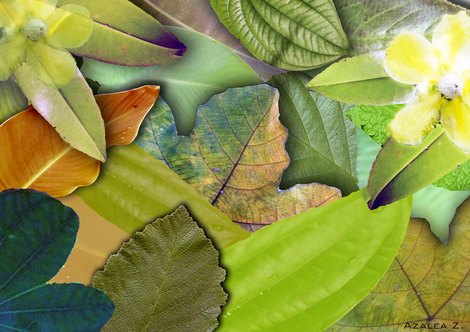 Art/Design/DT in EDUCATION by Mauro Brooks: OBSERVATIONAL DRAWING ...