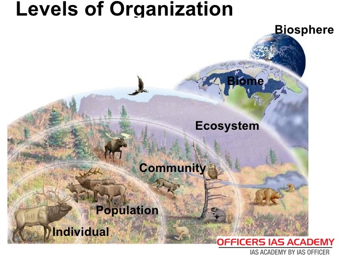 IAS Preparation- simplified like never before!: PRINCIPLES OF ECOLOGY ...