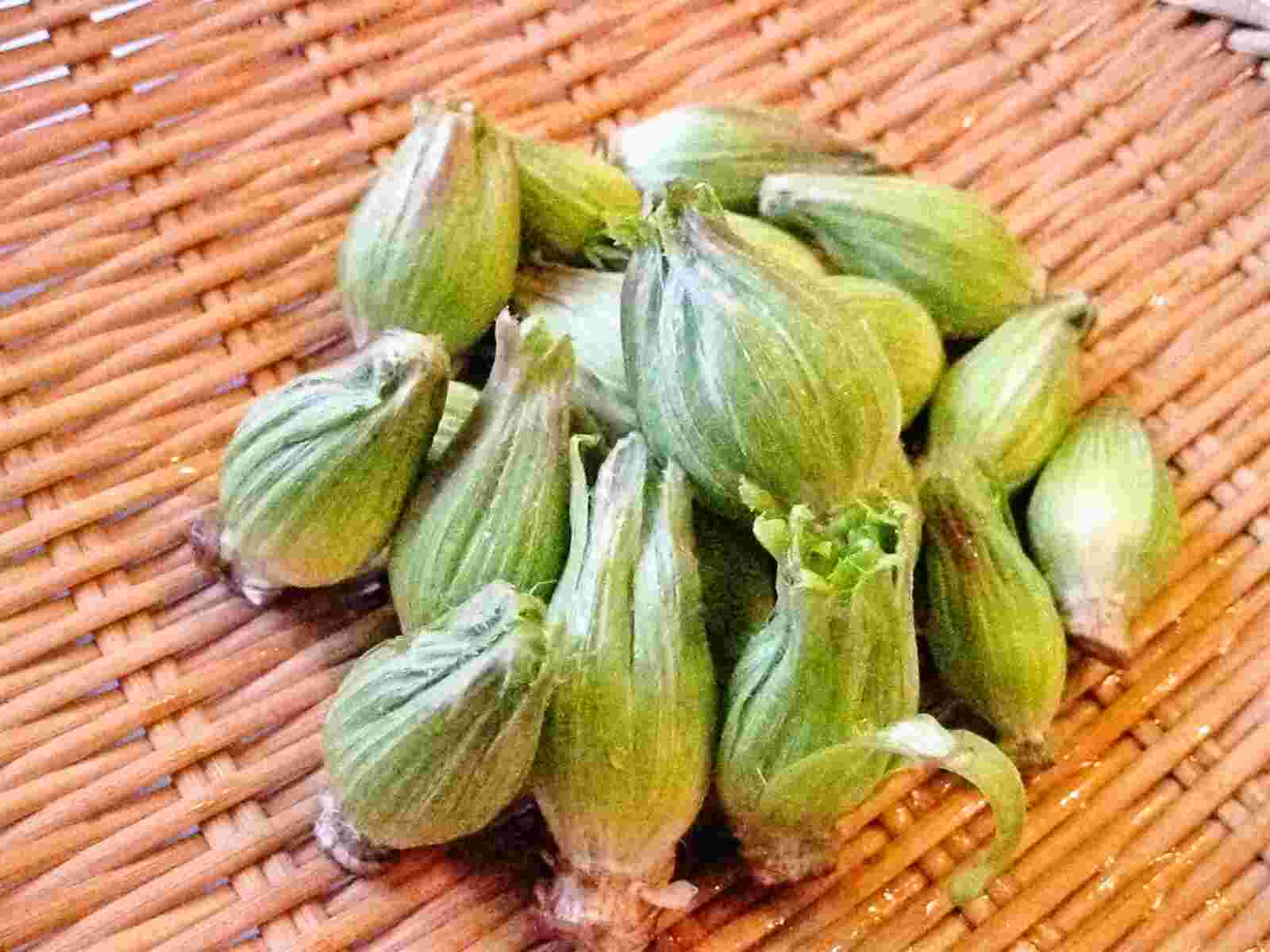 Recipes for Tom: Fuki & fuki no to / Japanese butterbur & butterbur buds