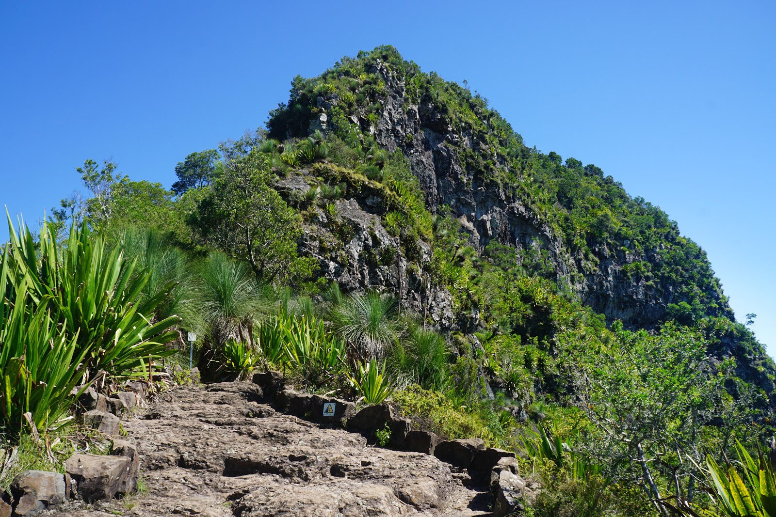 Mt Cordeaux and Bare Rock (Main Range National Park) ~ The Long Way's ...