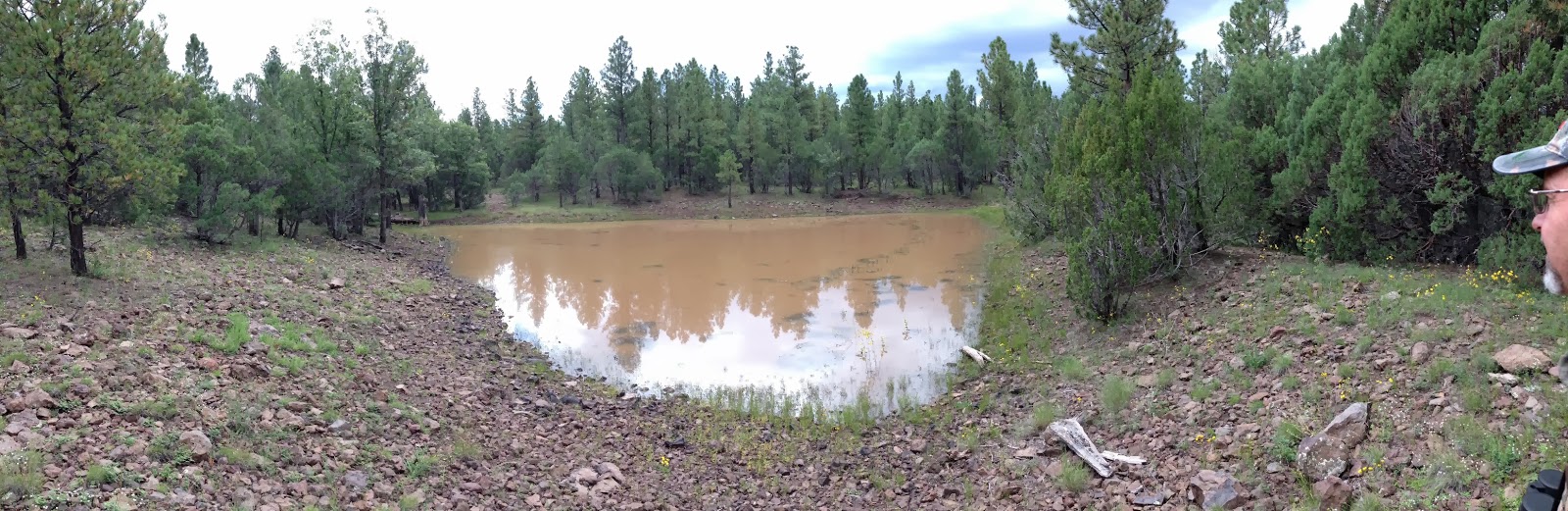 Arizona Bull Elk Hunt Unit 3b Archery | Copper State Outfitters