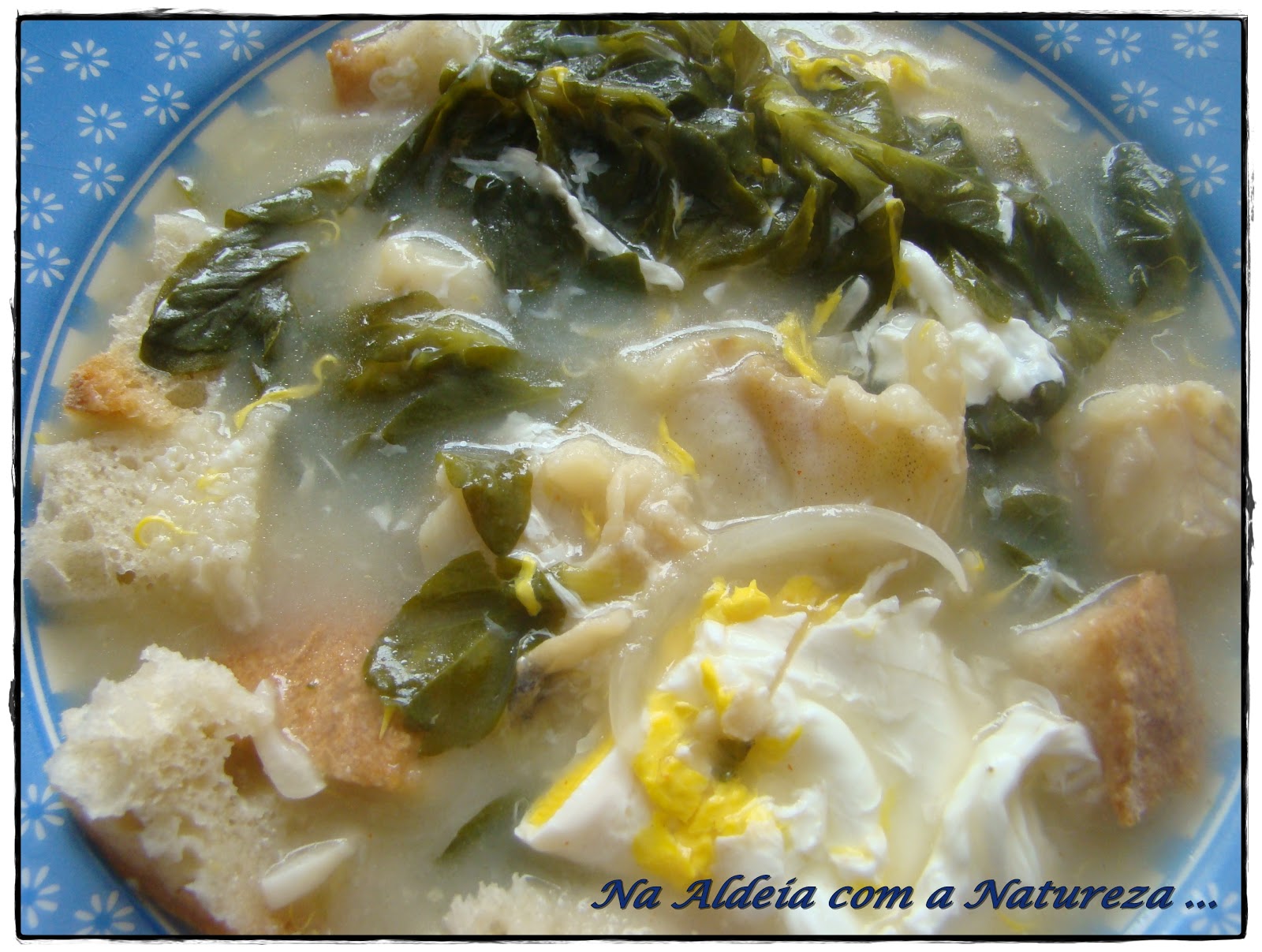 Na Aldeia com a Natureza: Erva Aromática - O Poejo