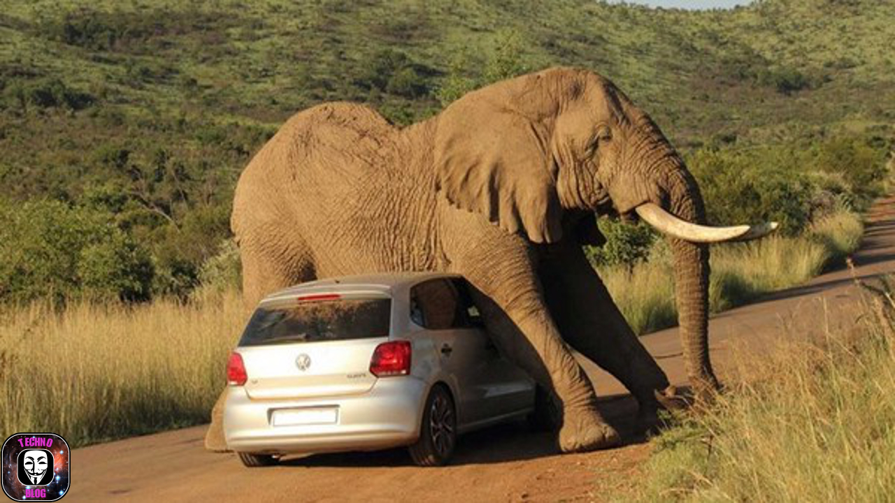 10 Most Tragic Deaths in History! - Techno Life