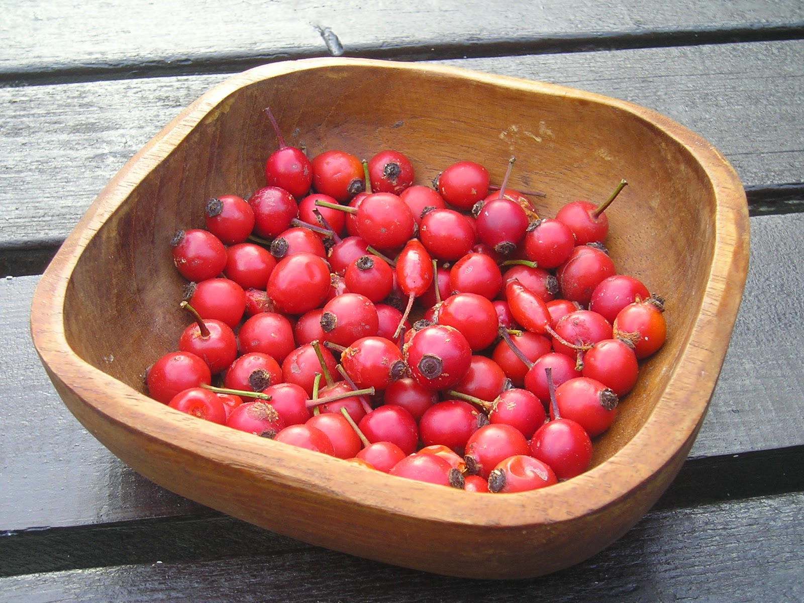 Naturalmente: ESCARAMUJO: FRUTO DEL ROSAL SILVESTRE
