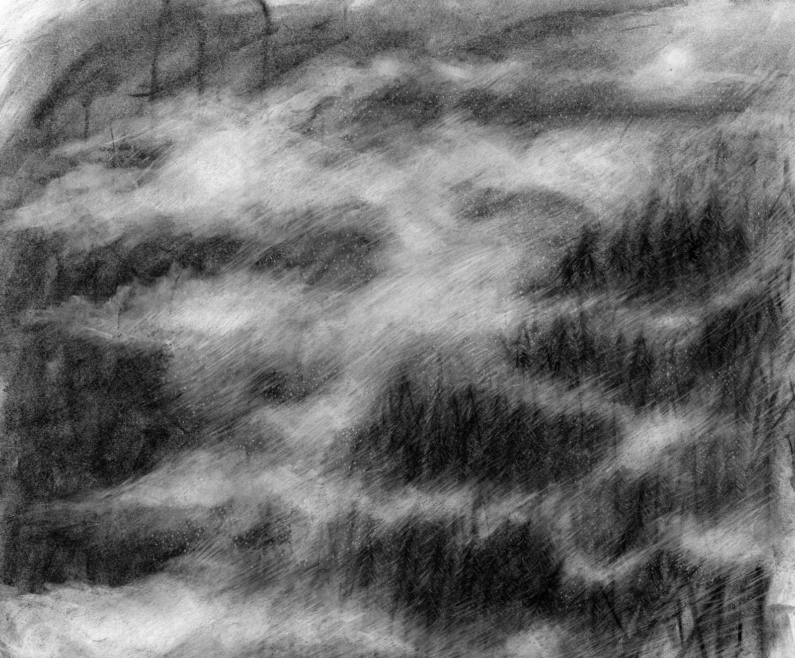 Fire In Fog: Drawings for "Skogtatt"