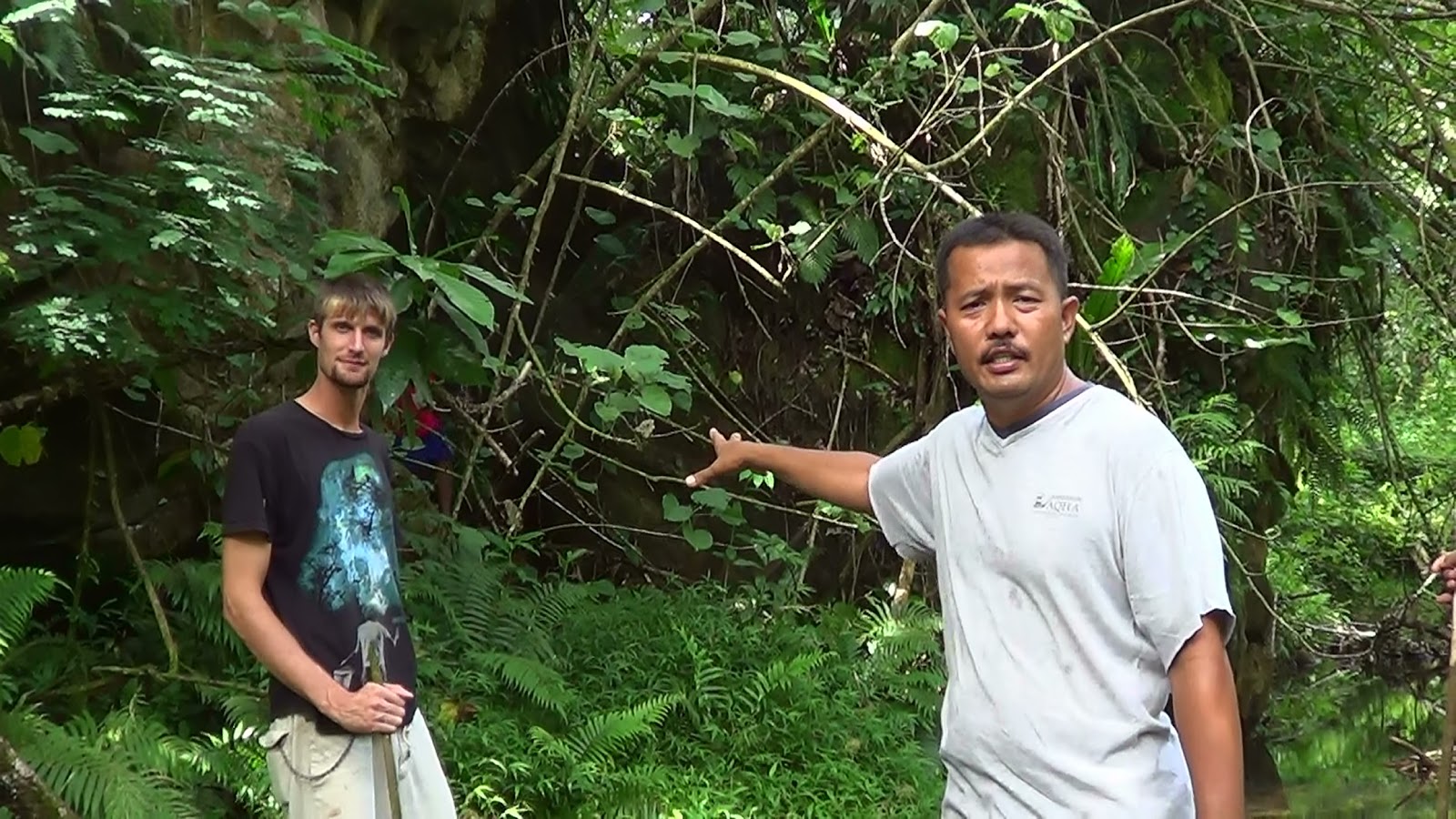 IRIS MICRONESIA: Pohnpeian X-FILES: Pohnpaip and Palikir