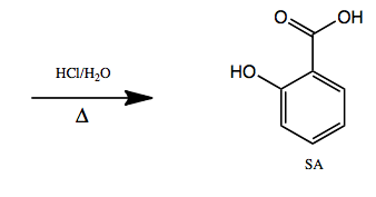 Chemistry Experiments: Aspirin Hydrolysis.