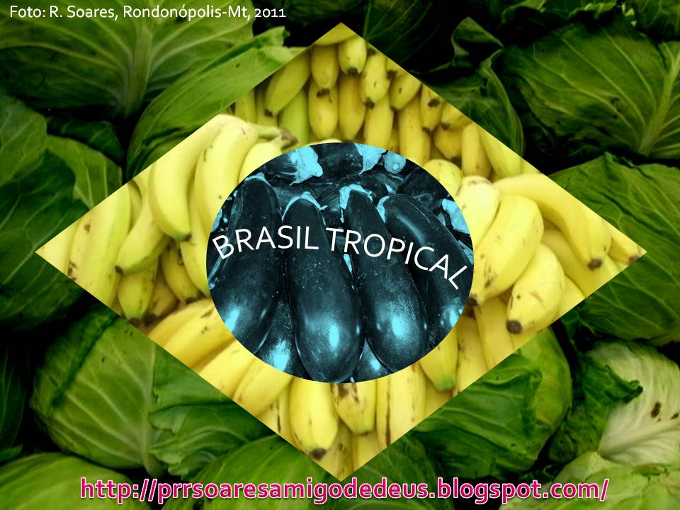 prrsoares: Brasil Tropical. Bandeira Natural