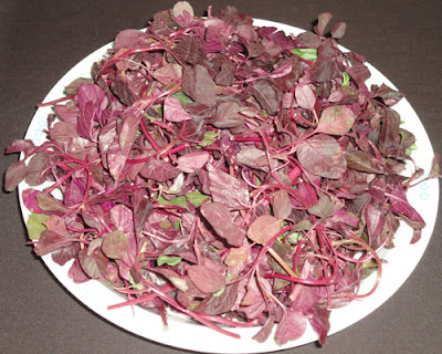 Vidya's Recipes: Amaranth leaves sabzi - Kempu harive soppina palya