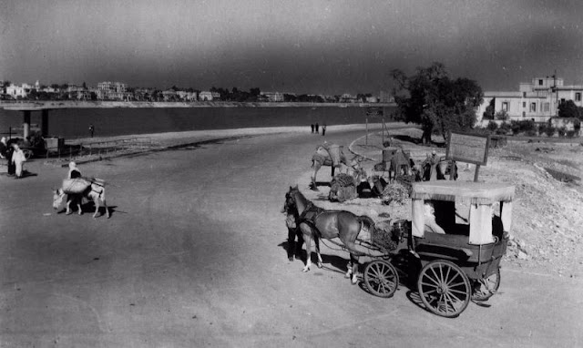 69 Black and White Photos of Everyday Life in Cairo During World War II ...