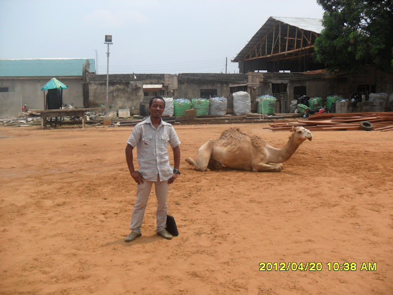 TB JOSHUA AND RUMAAFRICA IN TANZANIA: RULEA SANGA IN SCOAN NIGERIA (TB ...