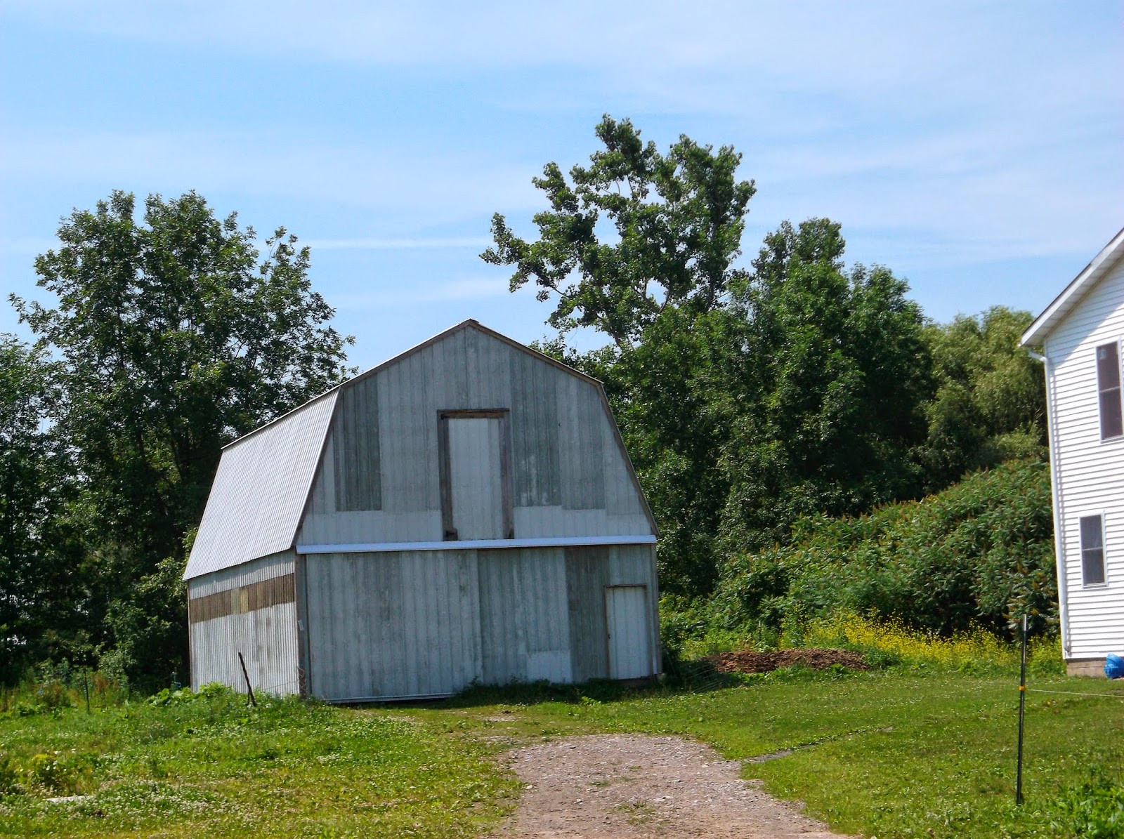 New York State of Mind: PICTURES INSIDE AMISH BARN, HOME AND BASEMENT