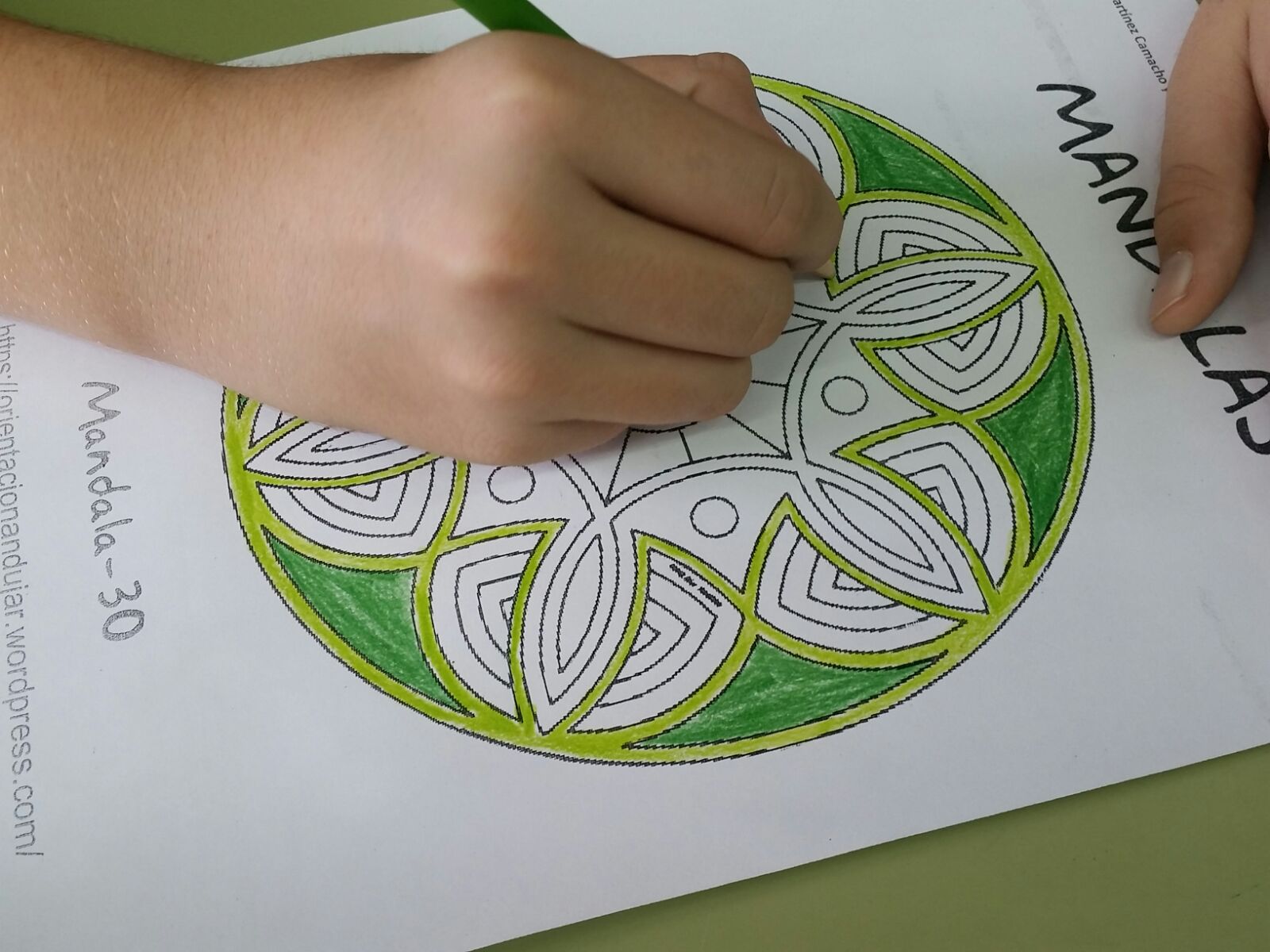 ORIENTA. Departamento de Orientación. IES Juan Antonio Fernández Pérez ...